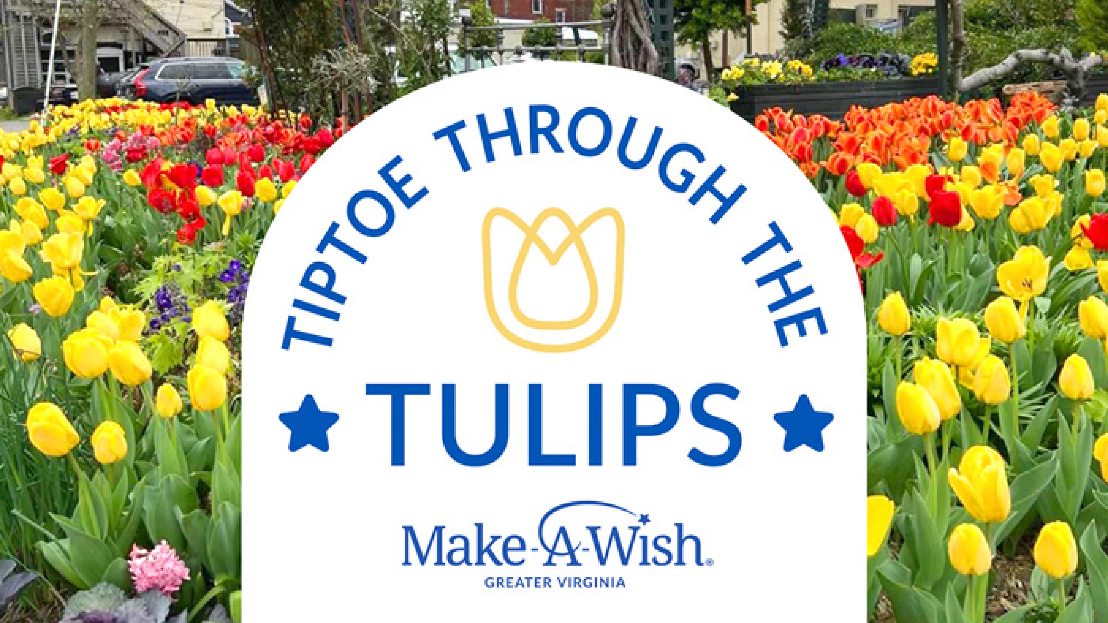 Find An Event Near You | Make-A-Wish WishMakers Wanted